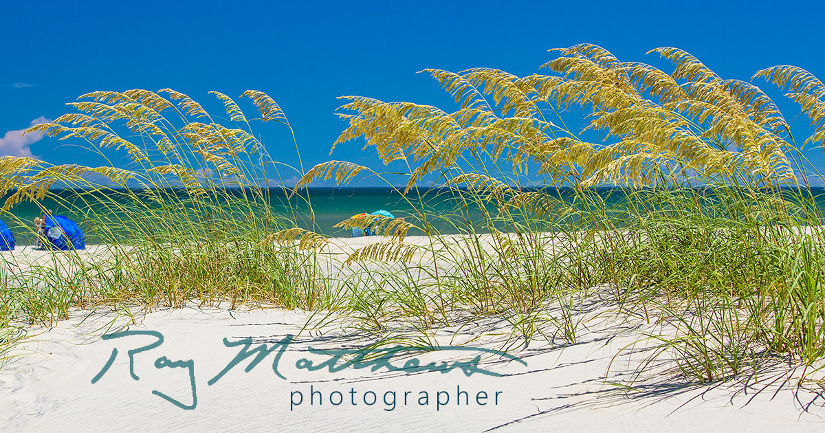 Ray Matthews, Photographer